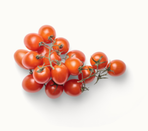 The Pheasant at Keyston - Fabulous food & award-winning pub in ...